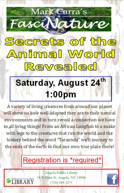 Angola Public Library | www.buffalolib.org